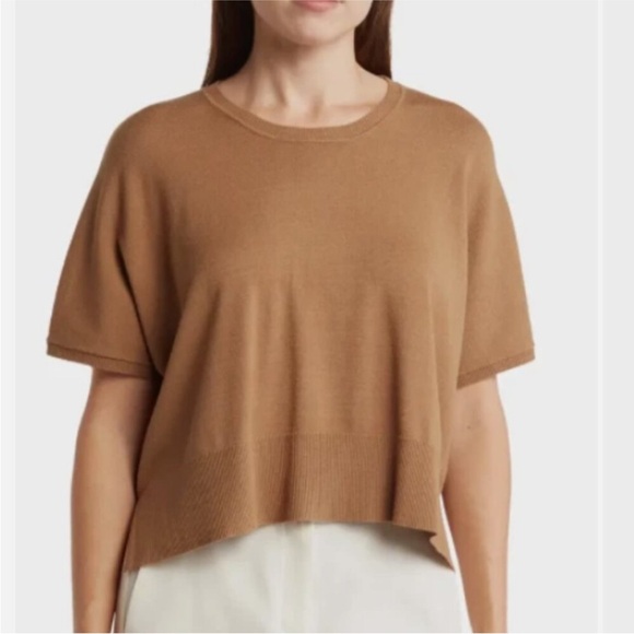 Splendid | Sweaters | Splendid Short Sleeve Oversized Sweater In Dune ...